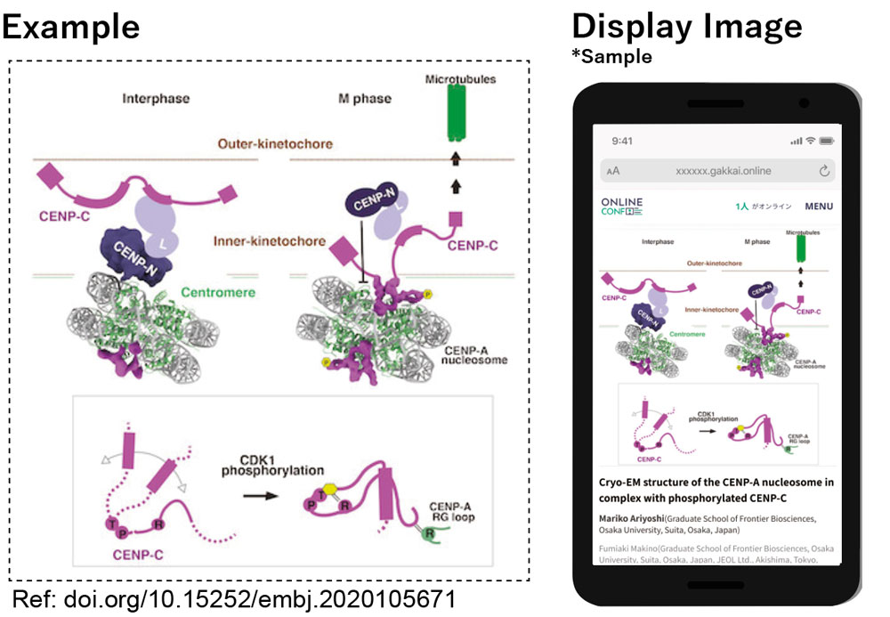 Abstract Submission | The 46th Annual Meeting of the Molecular Biology ...